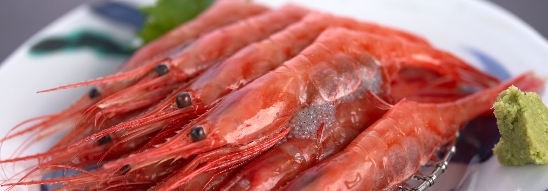 Visit Kaga | Official Website of Kaga City Tourism Association