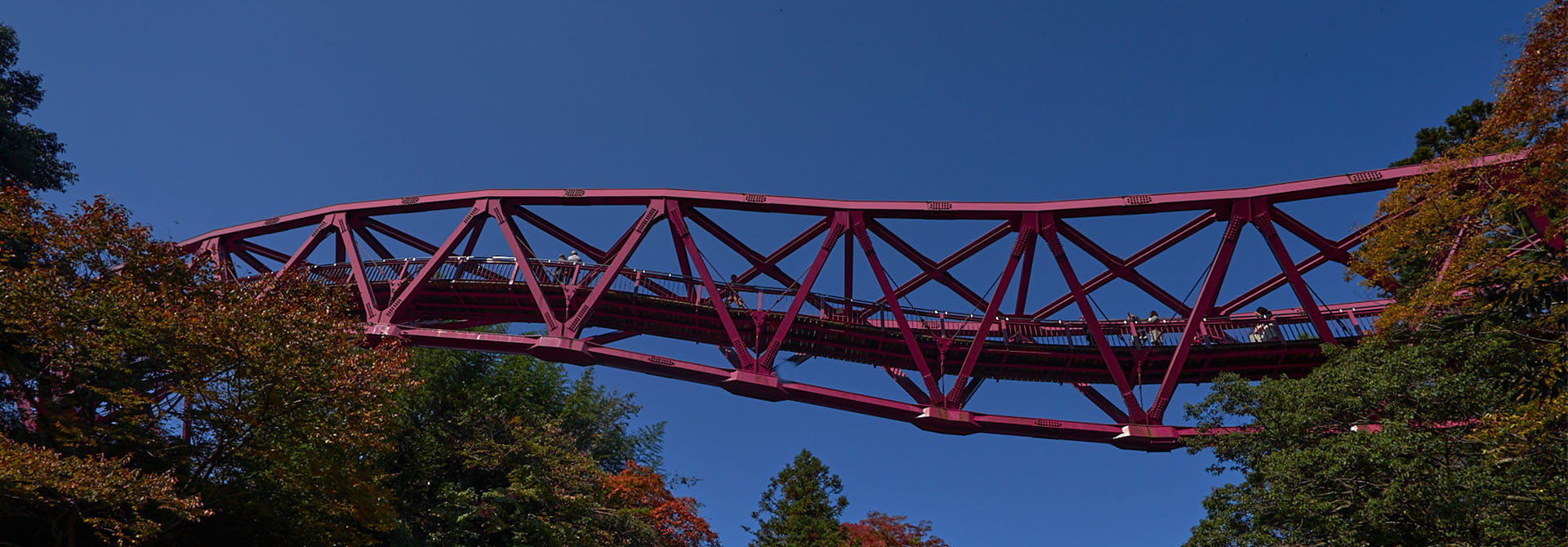 Visit Kaga | Official Website of Kaga City Tourism Association