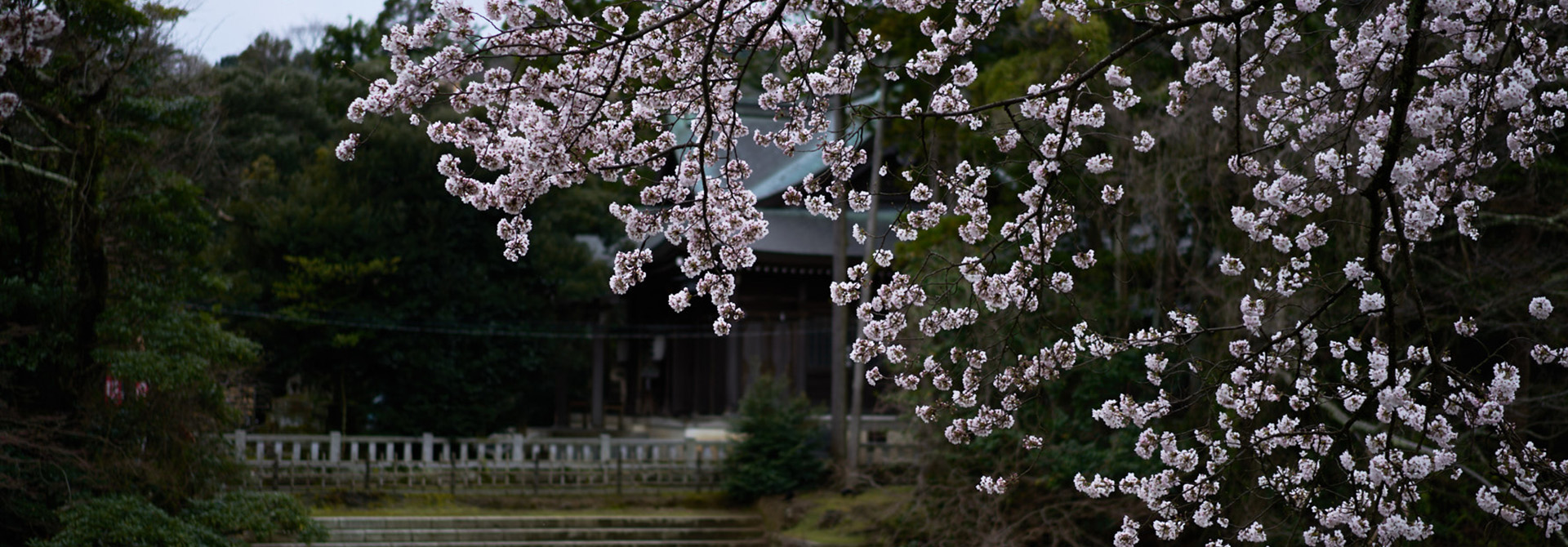 Visit Kaga | Official Website of Kaga City Tourism Association